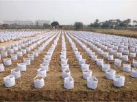 China Gallon Plastic Nursery Grow Bag Growing Seedling Ginger Potato Planting Pots Home Garden for sale