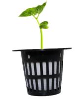 China Greenhouse Net Pot Cup For Hydroponic Growing System Hydroponics Net Pots Mesh Cup and Foams for sale