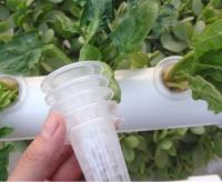 China Greenhouse Net Pot Cup For Hydroponic Growing System Hydroponics Net Pots Mesh Cup and Foams for sale