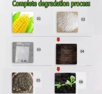 China Biodegradable Mailing Bag Compost Courier Bag PLA+PBAT Vegetable Starch Postal Packaging Bag Clothing Express Bag Logo for sale