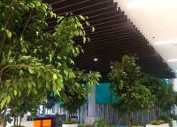 China Roller Coated Wood Color Aluminum Baffle Ceiling For Shopping Mall 12 Years Warranty for sale