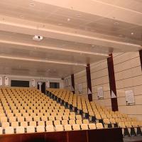 China Fireproof And Acoustic Commercial Building Wood Grain Aluminum Suspended Clip In Ceiling Panel for sale