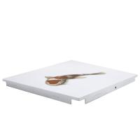 China 3D Modern Aluminum Artistic Ceiling Tiles With Fish Pattern Customized Size for sale