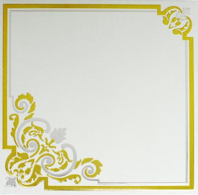 China Architectural Interior Ceiling Panel , Artistic Ceiling Tiles for Cook House for sale