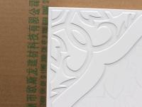 China Specular Color Art Ceiling Panel Hotel / Home Decoration Building Material for sale