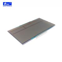 China Fuel Dispenser LCD Display STN Segment 12 Digits LCD Module with White LED Backlight for Fuel Dispenser for sale