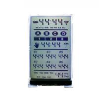 China Premium Custom COG Grey 7 Segment LCD Display Screen Premium Product Category Segment Displays for sale