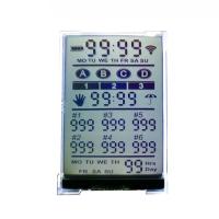 China Premium Custom COG Grey 7 Segment LCD Display Screen Premium Product Category Segment Displays for sale