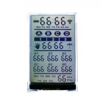 China Premium Custom COG Grey 7 Segment LCD Display Screen Premium Product Category Segment Displays for sale