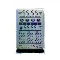 China Premium Custom COG Grey 7 Segment LCD Display Screen Premium Product Category Segment Displays for sale
