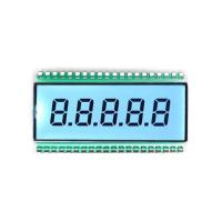 China Factory Outlet Custom 5-Digit LCD Display for Fuel for Segment Displays for sale
