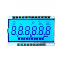 China Customizable 6-Digit LCD Screen High Quality and Durable Segment Displays for sale