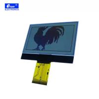 China COG+FPC Connector 128x64 Pixel Graphic LCD Segment Displays FSTN Module for sale