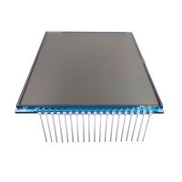 China Customization LCD Display Screen Transparent 7 Segment Lcd TN FSTN VA for sale