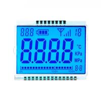 China High Visibility Segment Displays with White Backlight LCD Display Screen for sale