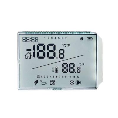 China Factory Custom TN LCD Segment Display with Digital Temperature Controller for Displaying Temperature Information for sale