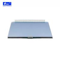 China Factory Custom TN LCD Segment Display with Digital Temperature Controller for Displaying Temperature Information for sale