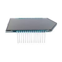 China Custom Segment Tn Stn Lcd Module for Speedometer for sale