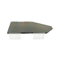 China TN Segment Type LCD Module for Motorbike Dashboard, Custom LCD Screen with Odometer Trip Meter Warning Symbols for sale