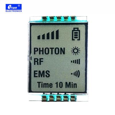 China Manufacturer Tn Htn Stn Va Custom Segment LCD 8 Digital Screen Monochrome Display Segment LCD Display for sale