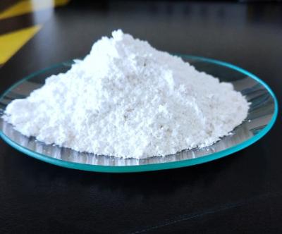 China Industrial Hydrated Lime CaOH 99% Calcium Hydeoxide For Plants for sale