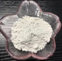 China Calcium Hydroxide 96% Slaked Lime Powder SGS Certified for Water Treatment for sale
