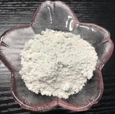 China Calcium Hydroxide 96% Slaked Lime Powder SGS Certified for Water Treatment for sale