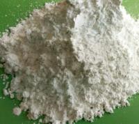 China Food Grade Hydrated Lime Calcium Hydroxide 100.5 for sale