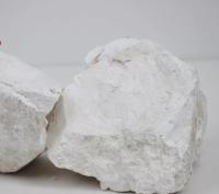 China Swimming Pool Calcium Hydroxide Slaked Lime 92% Purity Hydrated Lime Powder CAS 1305-62-0 for sale