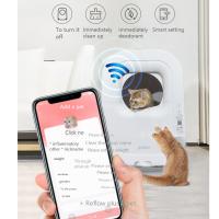 China Electric Plastik Cleaning Cat Sifting Litter Box with Enclosed Tray and 260L Capacity for sale