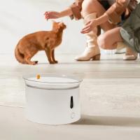 China Cat and Dog Accessories Automatic Pet Water Fountain with Circulation Filtration for sale