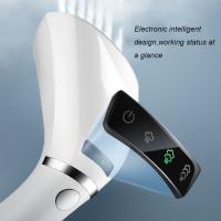 China Travel-Friendly Electric Display Travel Garment Steamer 0.93KG 1500W Power Cordless for sale