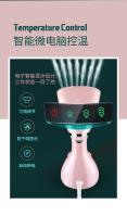 China Iron Box Clothing Garment Steamer with Brush 140*115*275mm Outdoor and Steam Electric for sale
