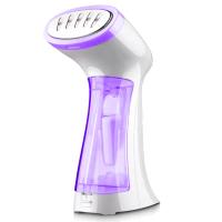 China Powerful Pump 1000W Mini Size Vertical Steam Iron for Steaming Clothes Fabric Garment for sale