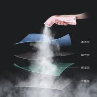 China Easy to Carry 1000W Portable Garment Steamer For Clothing ABS Material 220V Voltage for sale
