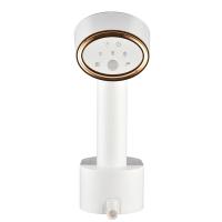 China Hair Brush Accessories Mini Handheld Iron Portable Steam Ironing Brush for Travel for sale