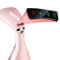 China Handheld Travel Fabric Garment Steamer With CE and ROHS Perfect for Business Travel for sale