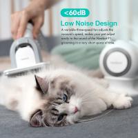 China 50W Pet Grooming Kit Vacuum Suction The Ultimate Grooming Solution for Dogs and Cats for sale