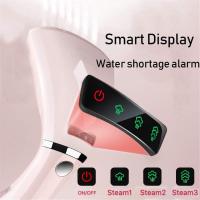 China Portable Travel Compact Steamer For Clothes 3 Levels Adjust Continual Steam Fast Heat for sale