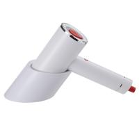 China Compact Travel Garment Steamer with Hair Brush Accessory Product Size 23.25x17x7.4 cm for sale