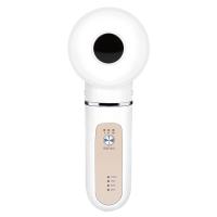 China Portable Hand Held Steam Iron Lint Remover Garment Steamer Water Tank Capacity 26ml for sale