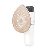 China Portable Hand Held Steam Iron Lint Remover Garment Steamer Water Tank Capacity 26ml for sale