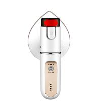 China Portable Hand Held Steam Iron Lint Remover Garment Steamer Water Tank Capacity 26ml for sale