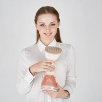 China Say Goodbye to Wrinkles Portable Handheld Travel Garment Steamer with Removable Brush for sale