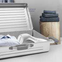 China Say Goodbye to Wrinkles Portable Handheld Travel Garment Steamer with Removable Brush for sale