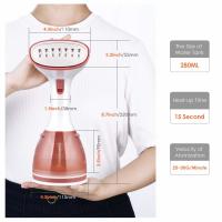 China Home 1500W Garment Steamer with Strong Steam and Compact Gift Box Dimension for sale