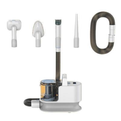 China Electronic Pet Grooming Kit 300W Iron Vacuum Suction for Cats and Dogs Professional for sale