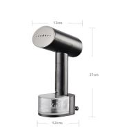 China Portable Electric Garment Steamer for Home or Travel 220V 250ml Water Tank Capacity for sale