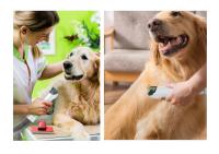 China 3.9kg Grooming Tools Pet Grooming Vacuum Kit Cleaning Trimmer Clipper Vacuum Cleaner for sale