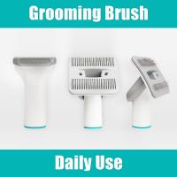 China 300W Electric Pet Hair Remover Grooming Kit Vacuum Cleaner Low Noise and Power Source for sale